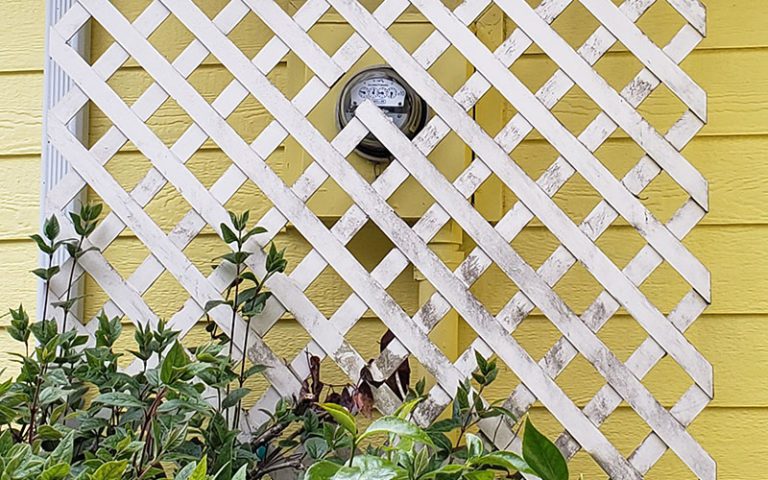 Grid Modernization - Meter Replacement Process - JPUD