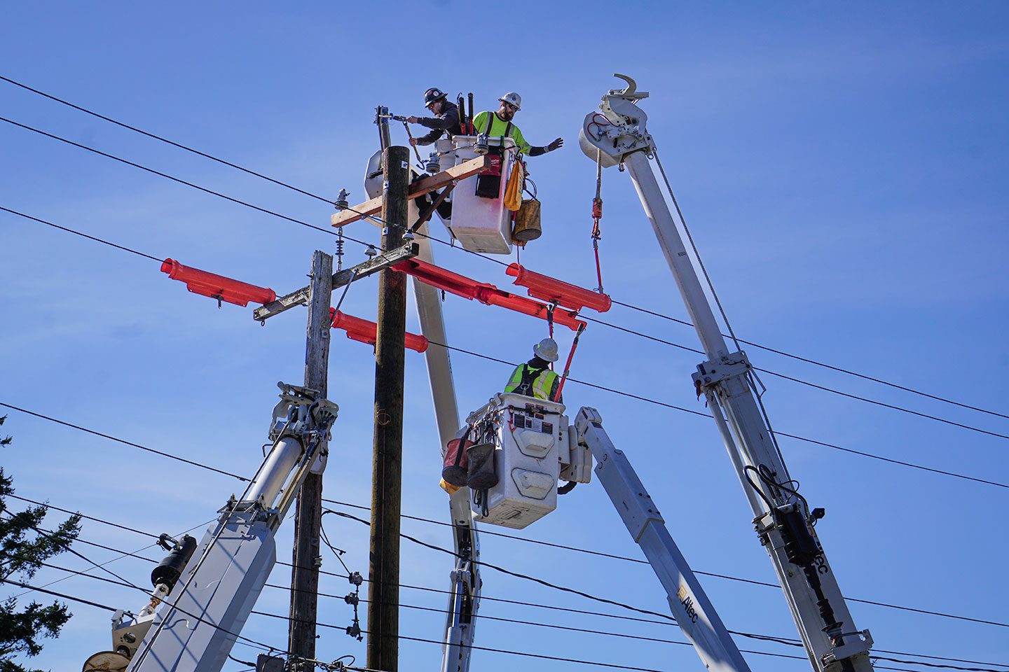 Cut & Kick - Replacing Aging Poles - JPUD