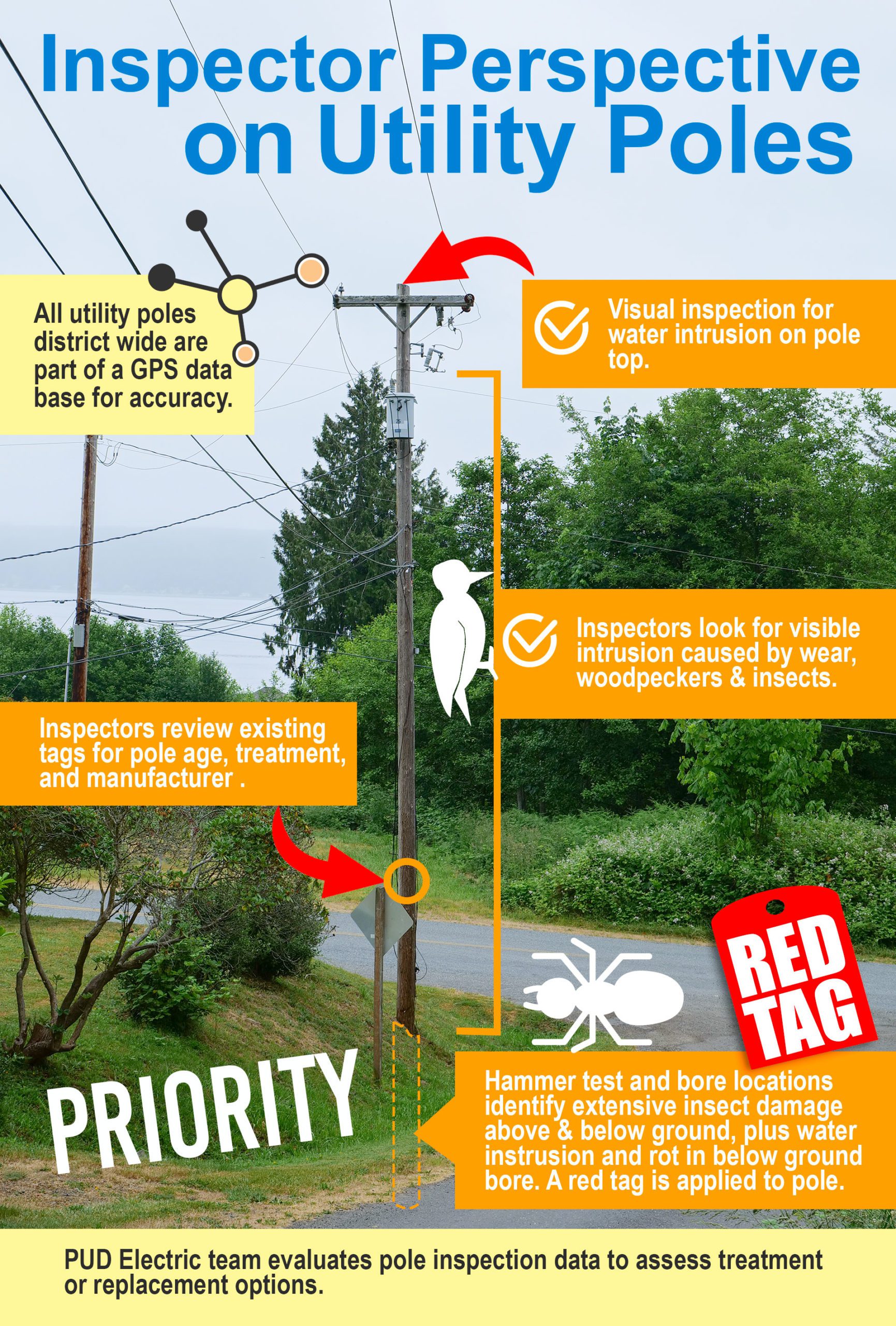 Poles Connect Us All - Utility Pole Testing - JPUD