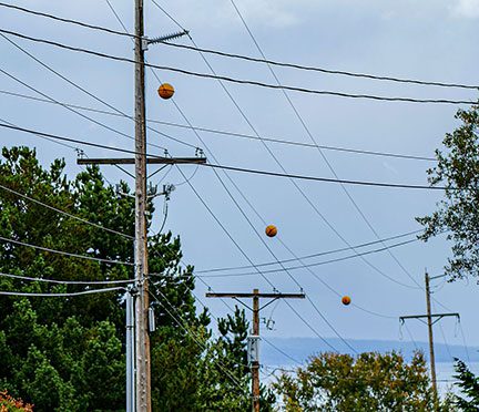 What's That? Transmission Visibility Markers - JPUD