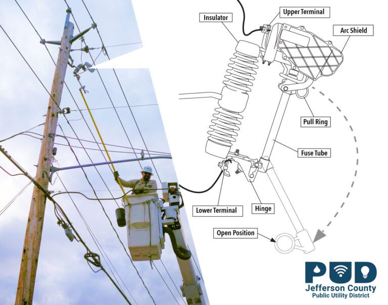 What's that? Cutout - JPUD