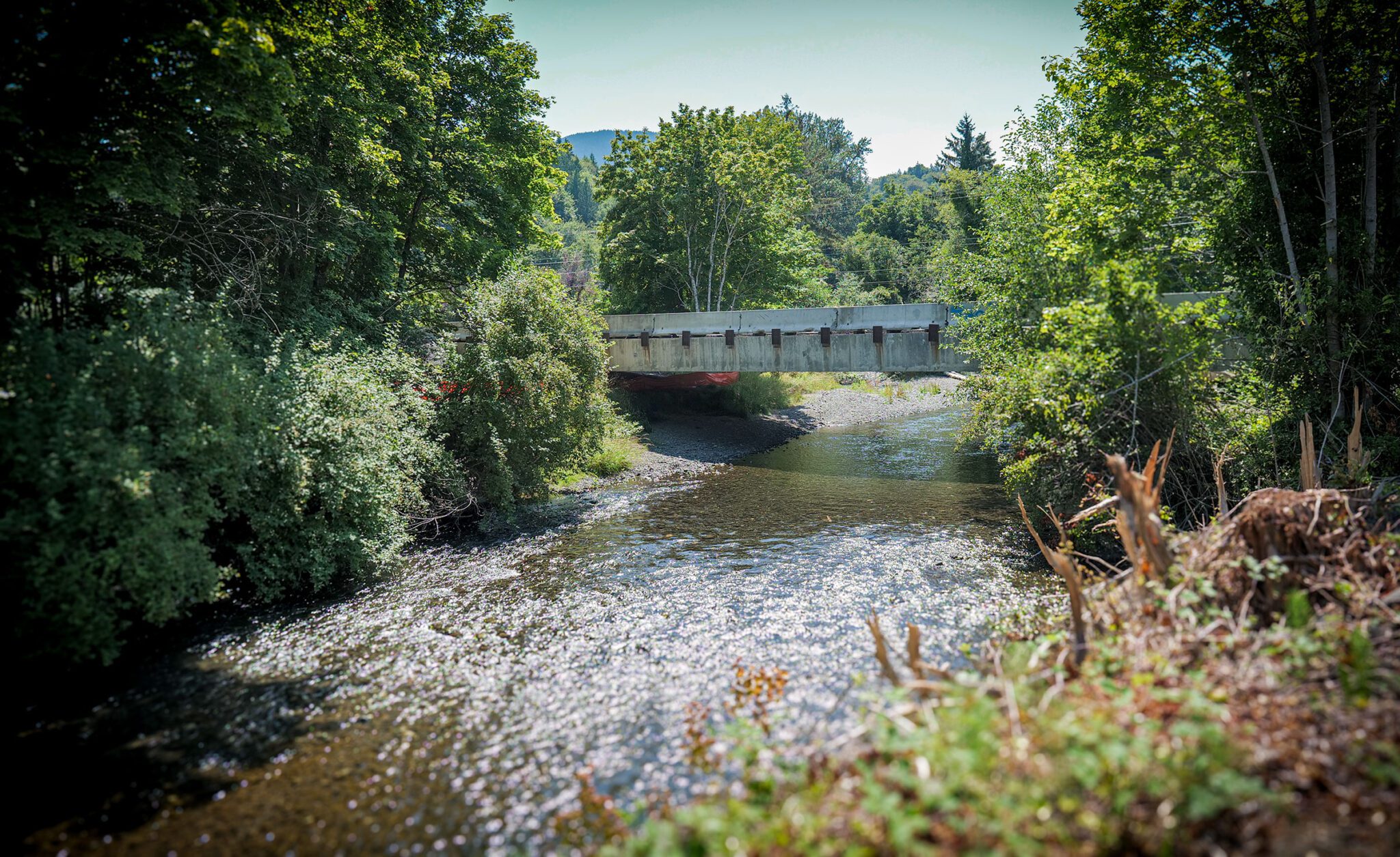 Flowing Forward - Investing in Water and Wildlife - JPUD