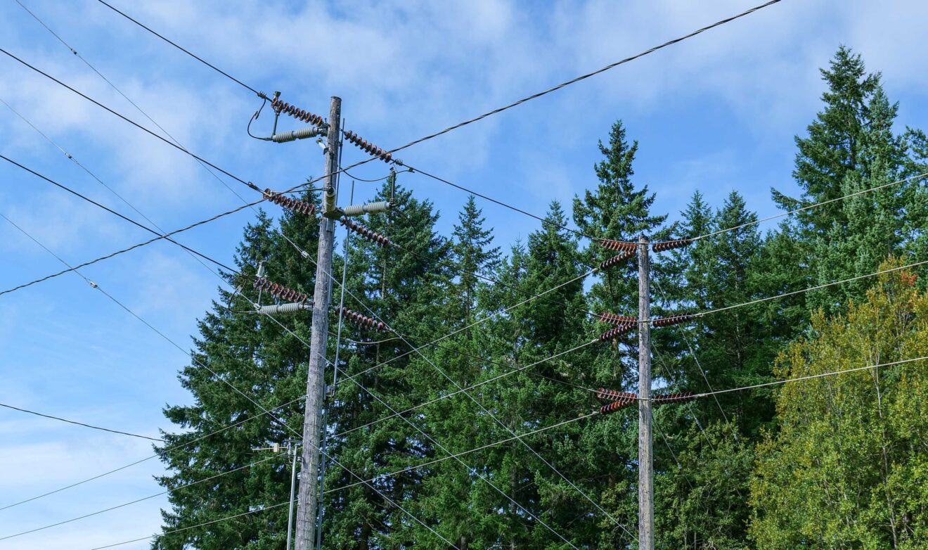 What's that? Line Insulators - JPUD